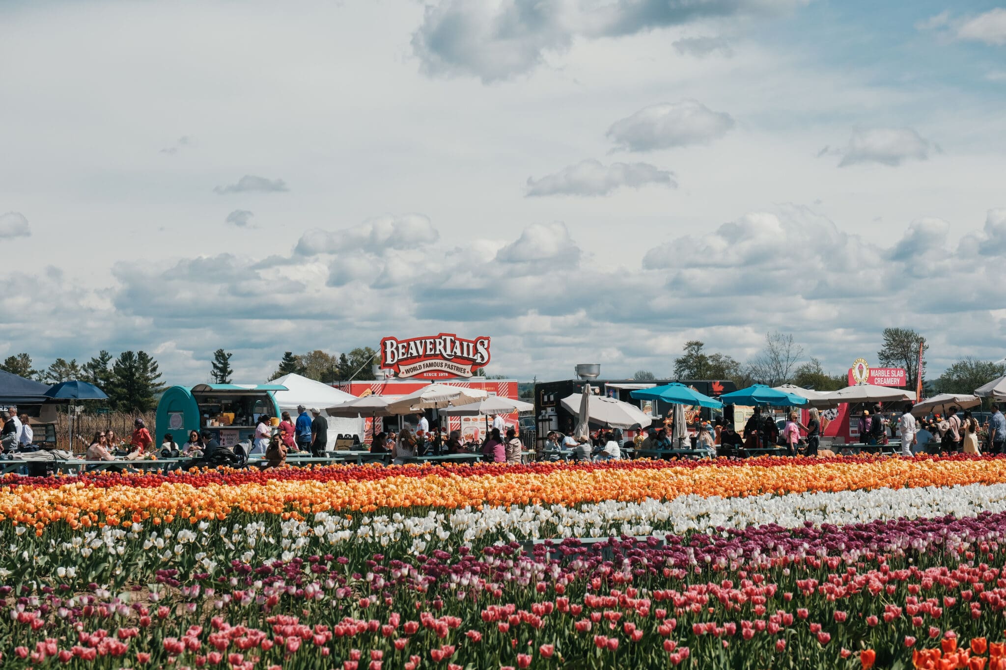 TASC Flower Festival | Niagara-on-the-Lake Flower Fields